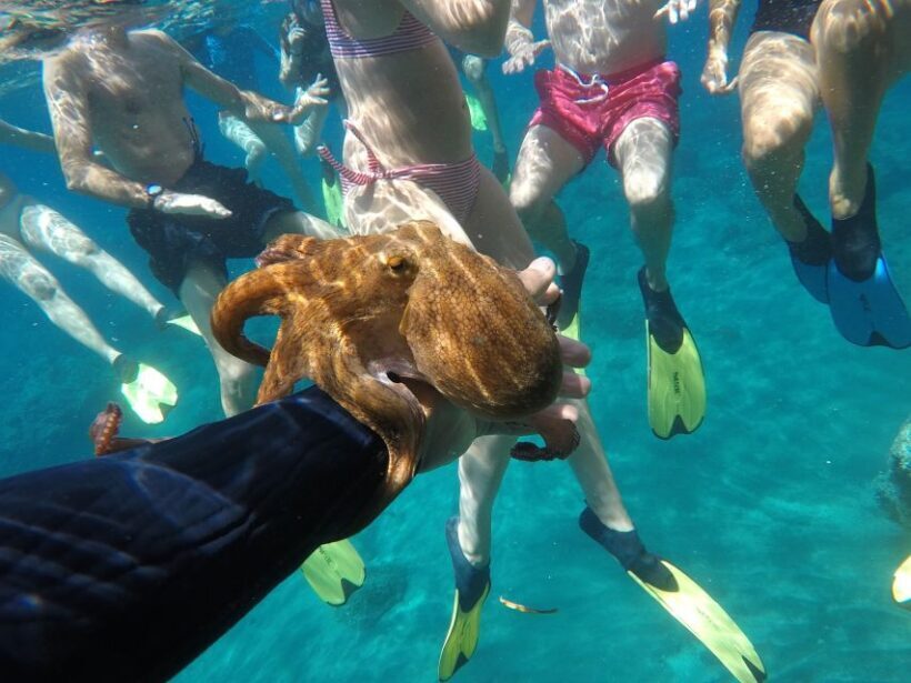 Milos: Half-Day Speedboat Cruise to Klefiko with Snorkeling - Authentic Experiences Backed by Reviews