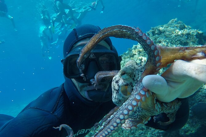 Milos: Half-Day Speedboat Cruise to Kleftiko With Snorkeling Tour - Included Amenities and Convenience