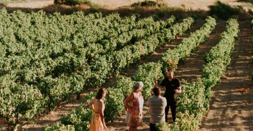 Milos Island: Kostantakis Winery Wine Tasting Experience - Who Should Consider This Tour?