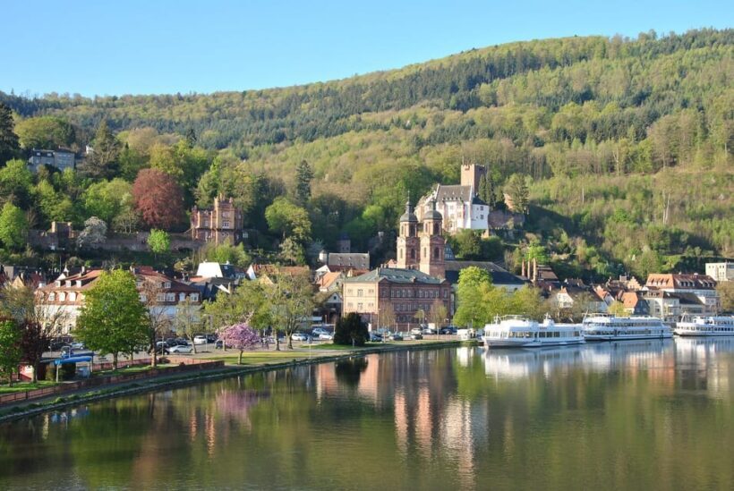 Miltenberg - Private Walking Tour - A Detailed Look at the Miltenberg Private Walking Tour