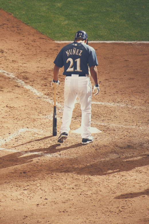 Milwaukee Brewers Baseball Game at American Family Field - Additional Details and Considerations