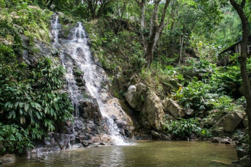 Minca, Waterfalls & Coffee Farm Tour - A Day Filled with Natural Wonders and Cultural Insights