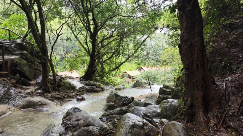 Minca, Waterfalls & Coffee Farm Tour - Authentic Minca Experience: What Travelers Say