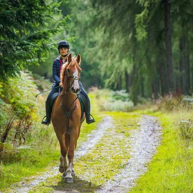 Mindful Horseback Escape  Kissamos - Exploring the Details of the Mindful Horseback Escape