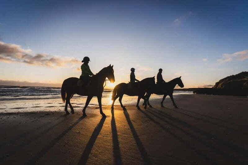 Mindful Horseback Escape  Kissamos - Final Thoughts: Is It Worth It?