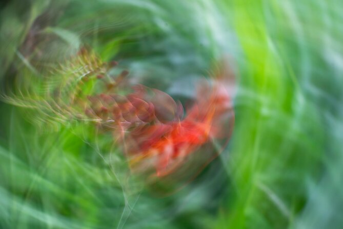 Mindful Photo Walk at Princess Pavilion & Gyllyngdune Gardens - FAQ