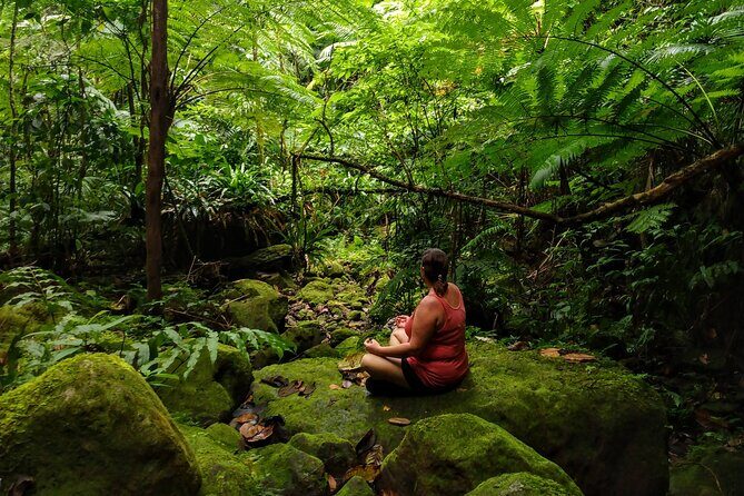 Mindfulness Rainforest Hike, Forest Bathing, Volcanic Hot Springs - Introduction