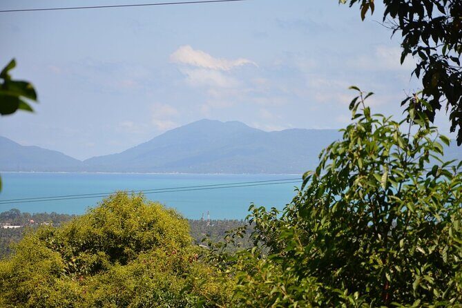 Mini ATV Safari 1 Hours Jungle Adventure Tour on Koh Samui - Who Will Love This Tour?