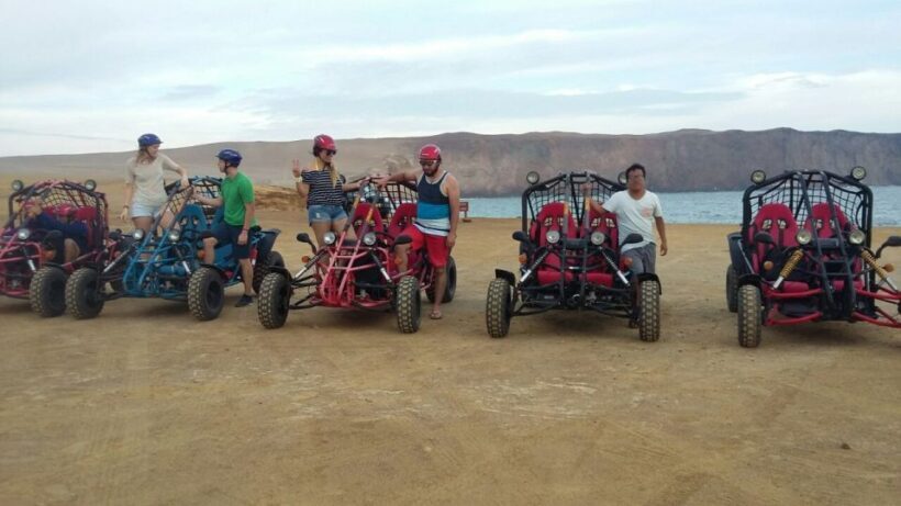 Mini Buggy GO KART in Paracas National Reserve - Practical Tips for Travelers