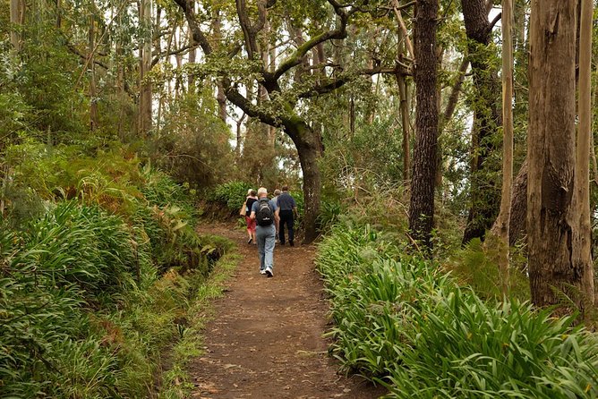 Mini -Combo East Challenge (Jeep & Levada Walk)- Shared Tour - Why This Tour Offers Great Value