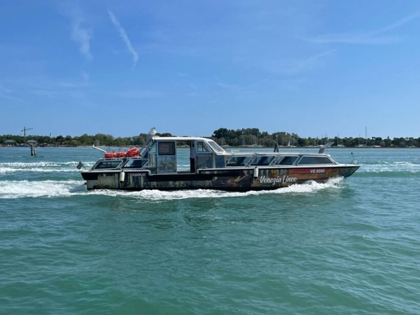 Mini Cruise from Ple Roma to St Mark's areas with guide - Introduction