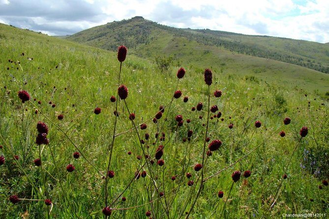 Mini Gobi and the ancient capital Kharkhorin - 4 days - The Sum Up