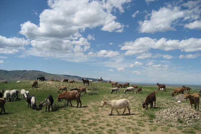 Mini Gobi and the ancient capital Kharkhorin - 4 days - FAQs