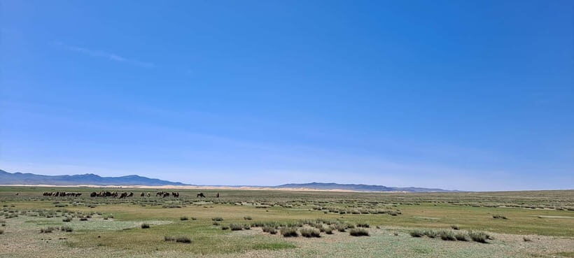 Mini Gobi, Orkhon, Tuvkhun Monastery & Kharkhorin 4-Day Tour - Key Points