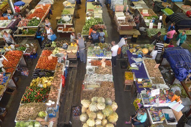 Mini Island Tour of Trinidad - Key Points