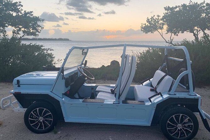 Mini Moke Rental on Marco Island - An In-Depth Look at the Mini Moke Experience on Marco Island