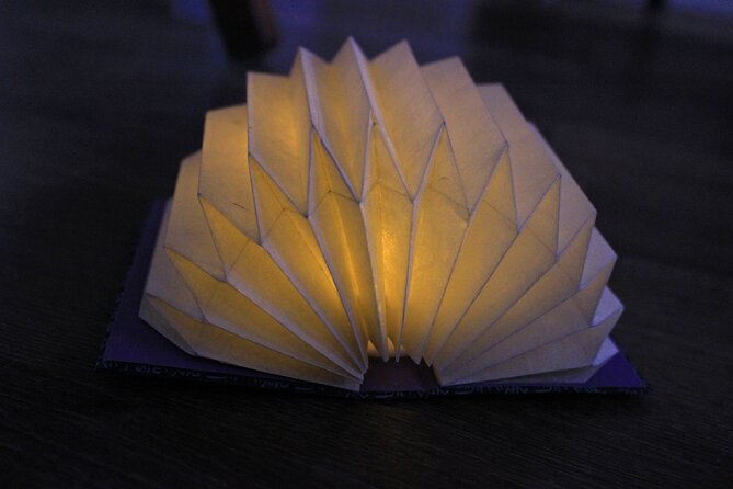 Mini Origami Lamp and Mizuhiki Knot Belt Workshop in Ueno - Accessibility and Additional Details