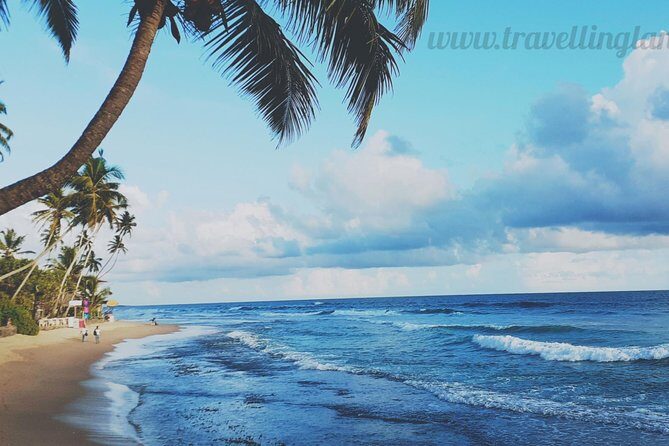 Mini Sri Lanka tour 4 nights 5 days for couple price - What Travelers Say