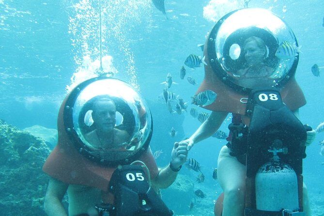 Mini-SUB Dive Tour from Cozumel - Who Should Book This Tour?