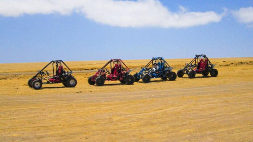 Minibuggy Adventure and visit to the Paracas Reserve - Key Points