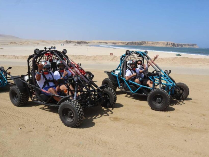 Minibuggy Adventure and visit to the Paracas Reserve - An In-Depth Look at the Tour Experience