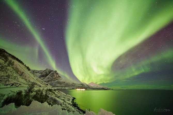 Minivan Northern Lights excursion (8 guests per minivan) - The Value of This Tour