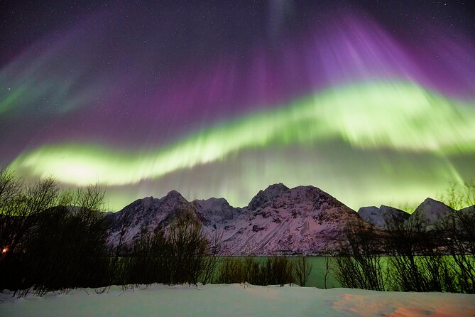 Minivan Northern Lights excursion (8 guests per minivan) - The Experience of the Guides and Customer Service