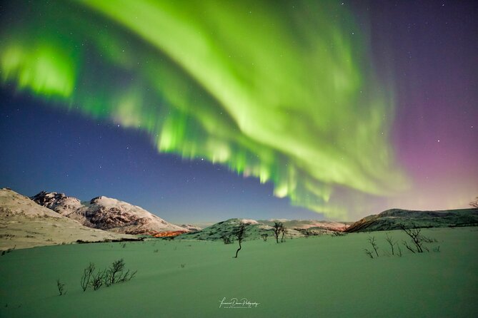 Minivan Northern Lights excursion (8 guests per minivan) - The Sum Up: Who Should Book This Tour?