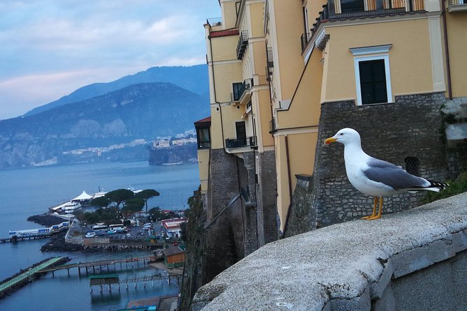 Minivan Tour | Positano Sorrento and Pompeii whit local driver - FAQs