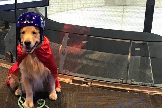 Minneapolis Indoor Skydiving Admission with 2 Flights & Personalized Certificate - Pricing and Value: Is It Worth It?