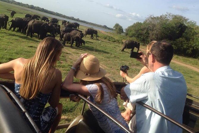 Minneriya Elephant Safari With Sigiriya Rock & Dambulla Cave Temples (Full Day) - Key Points