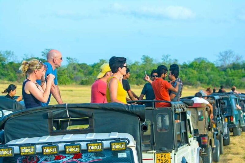 Minneriya half day elephant safari/largest gathering - Who Should Consider This Tour?