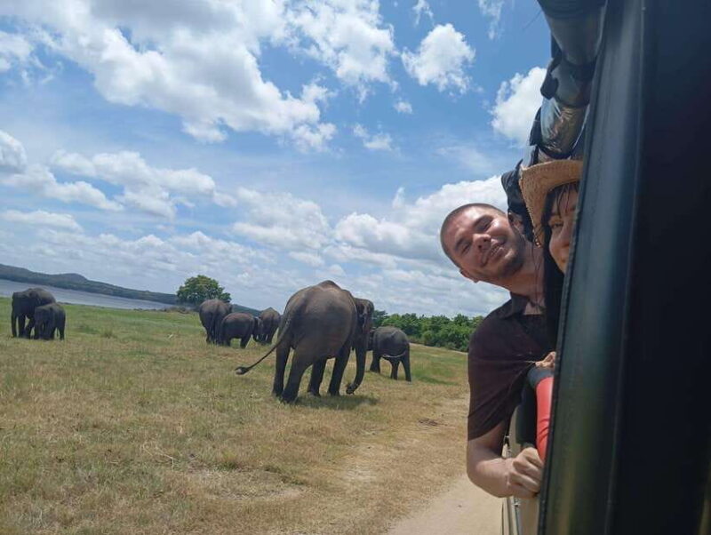 Minneriya: Half-Day Morning or Evening Jeep Safari - Key Points