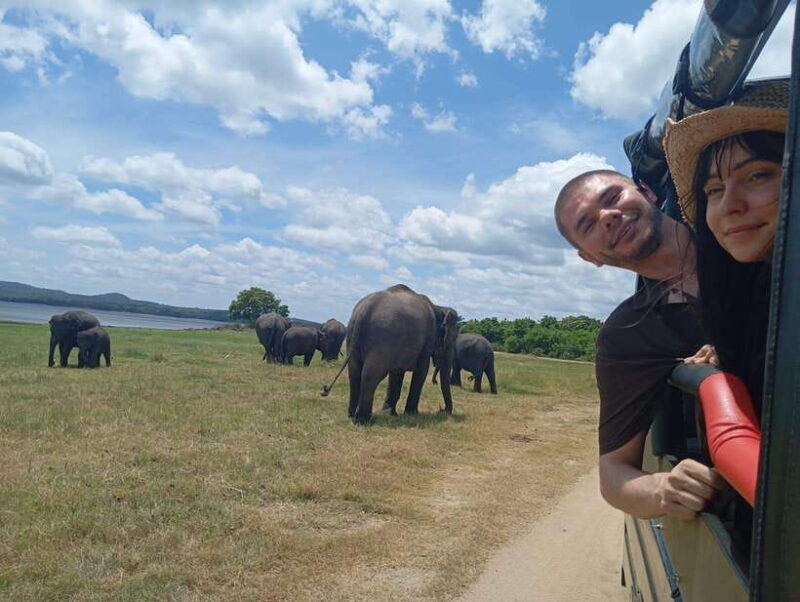 Minneriya: Half-Day Morning or Evening Jeep Safari - Scenic Highlights and Cultural Touches