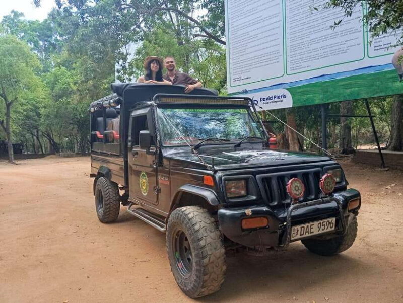 Minneriya: Half-Day Morning or Evening Jeep Safari - The Experience in Practice
