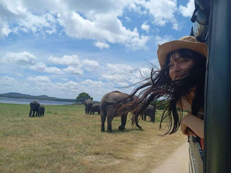 Minneriya: Half-Day Morning or Evening Jeep Safari - Who Should Consider This Tour?