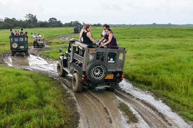Minneriya/Kaudulla or Hurulu Eco Park Jeep Safari including Entrance Fee - Discover the Thrilling Jeep Safari at Hurulu Eco Park in Sri Lanka