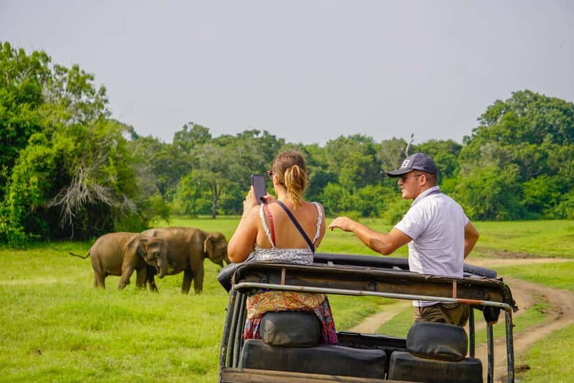 Minneriya: Minneriya National Park Half Day Private Safari - A Close-Up Look at the Minneriya National Park Half Day Private Safari