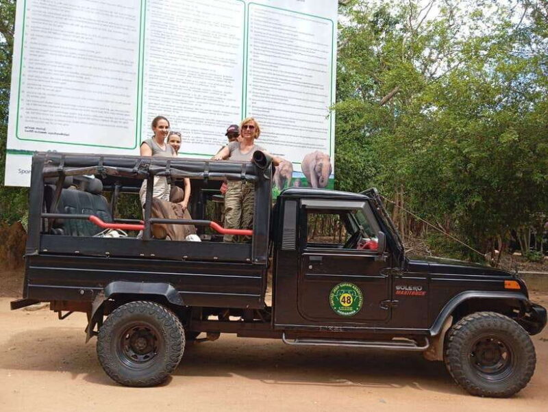 Minneriya: Morning Jeep Safari with Hotel Pickup and Drop-of - Who Should Book This Tour?