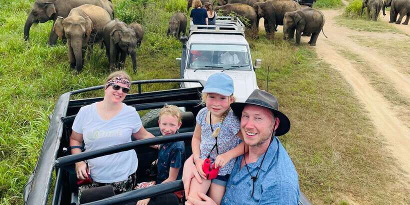 Minneriya National Park 4x4 jeep Safari Include Entrance Fee - Practical Details and Tips for Travelers