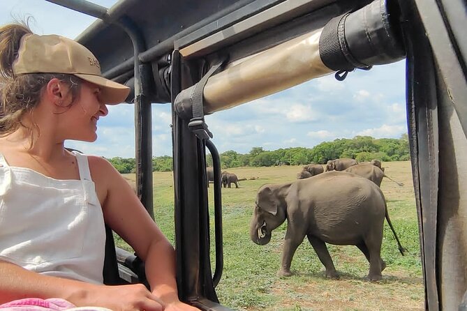 Minneriya National Park Elephant Jeep Safari Private Tour - Key Points