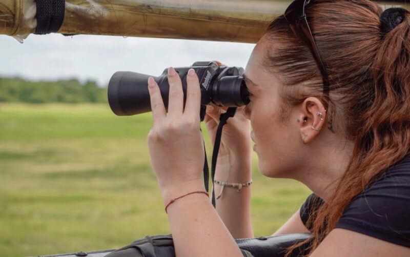 Minneriya: National Park Elephant Safari with Hotel Pickup - Key Points