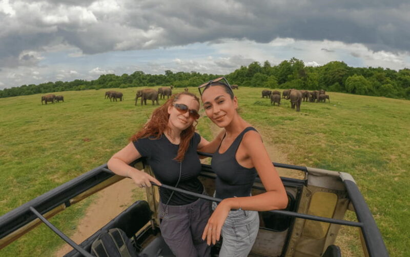 Minneriya: National Park Elephant Safari with Hotel Pickup - Is This Tour Worth It?