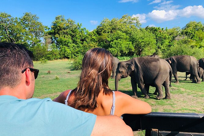 Minneriya National park half day private safari in Sri Lanka - Frequently Asked Questions