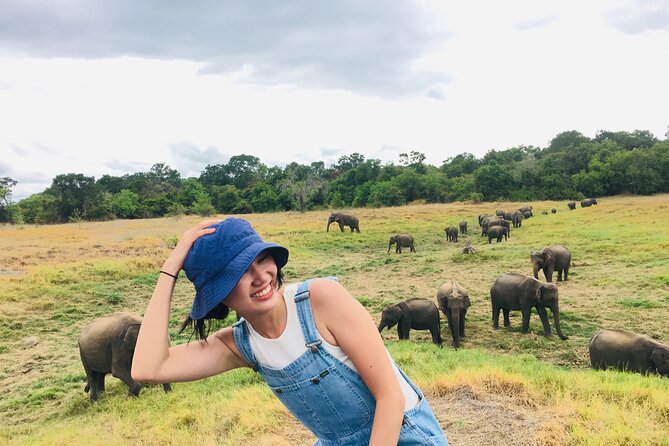 Minneriya National Park halfday Safari - FAQ: Your Practical Questions Answered