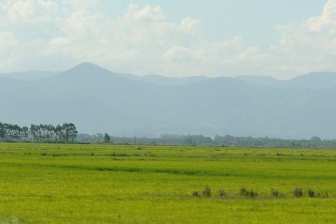 Minneriya National Park | Private Safari - Authentic Encounters and Tips from Reviewers