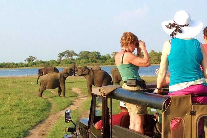Minneriya National Park Private Safari from Habarana - What to Expect on Your Minneriya Safari