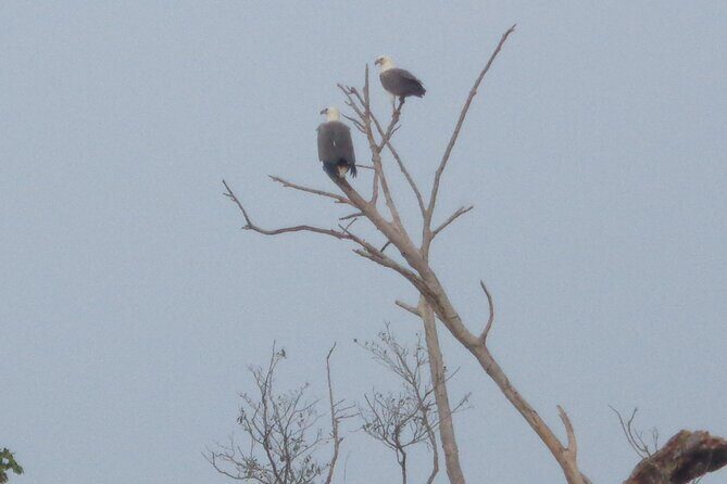 Minneriya National Park Private Safari from Habarana - Why This Tour Might Be Perfect for You