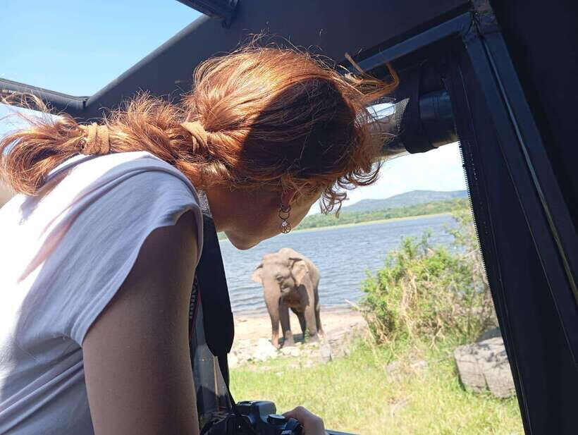 Minneriya National Park: Private Safari with Hotel Pick-up - Why Choose This Safari?