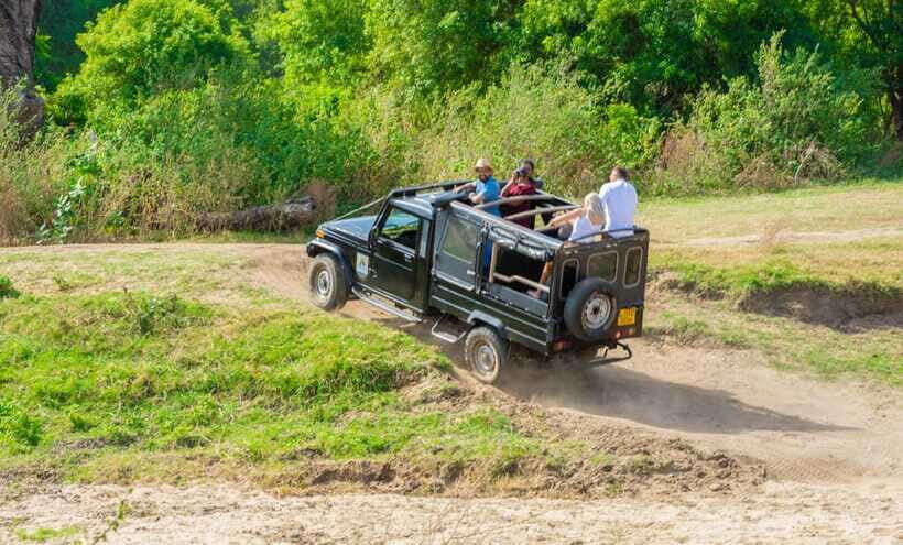 Minneriya National Park Safari from Sigiriya (Private Group) - A Day in the Life of the Safari